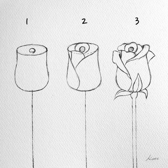 Comment dessiner une rose ? 37 idées & tutos étapes par étapes Comment dessiner une rose ? 37 idées & tutos étapes par étapes