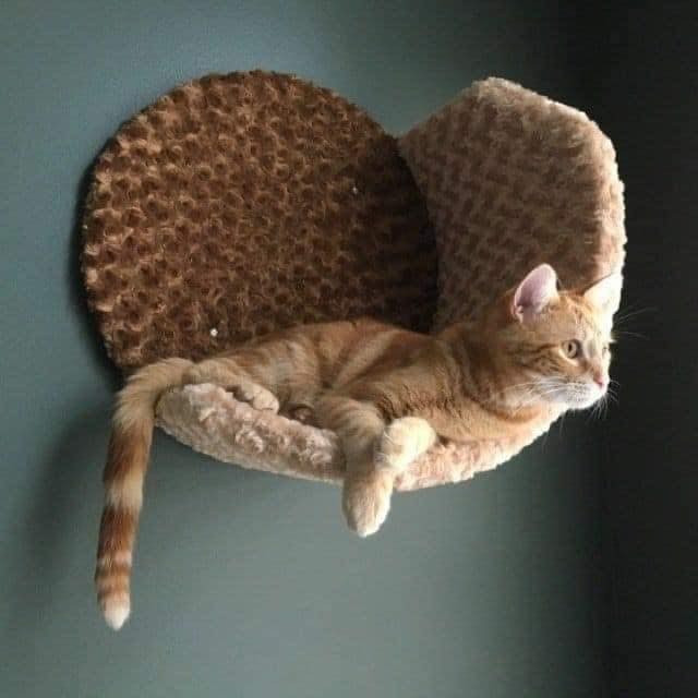 25 Idées Pour Les Amoureux Des Chats