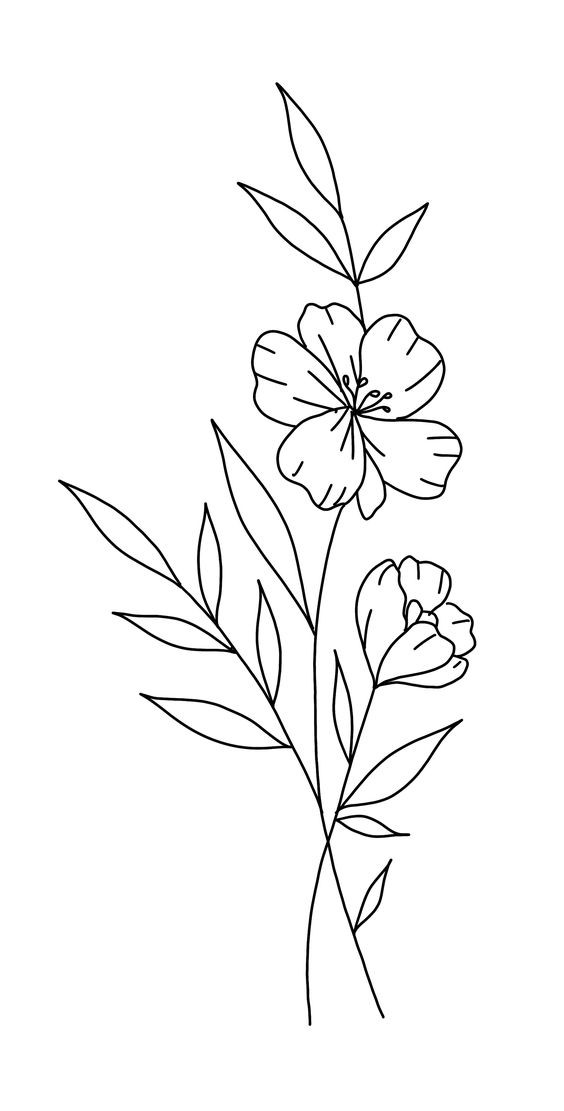 Dessin de fleur : 29 Idées faciles pour apprendre à dessiner des fleurs Dessin de fleur : 29 Idées faciles pour apprendre à dessiner des fleurs
