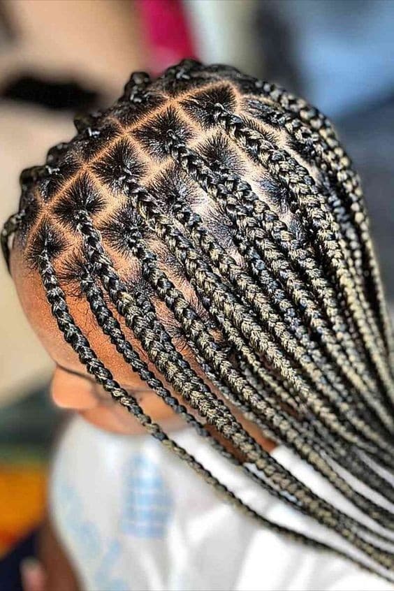 Knotless Braids : 25 Différents Styles de Tresses Sans Nœuds