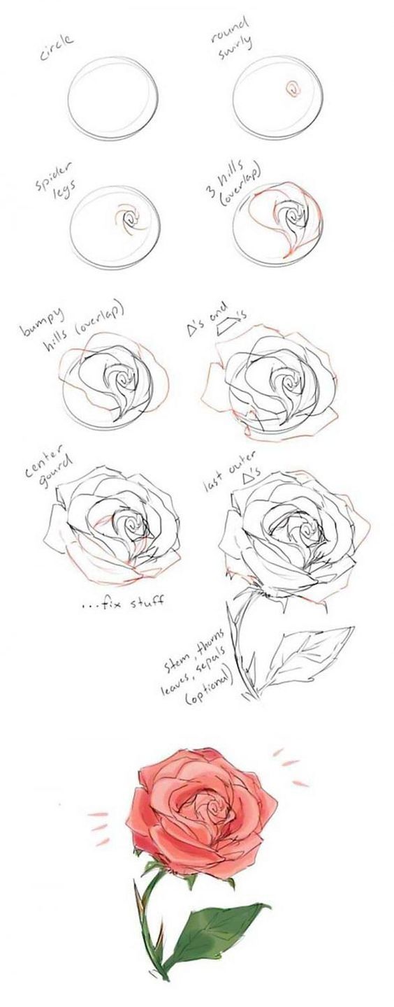 Comment dessiner une rose ? 37 idées & tutos étapes par étapes Comment dessiner une rose ? 37 idées & tutos étapes par étapes